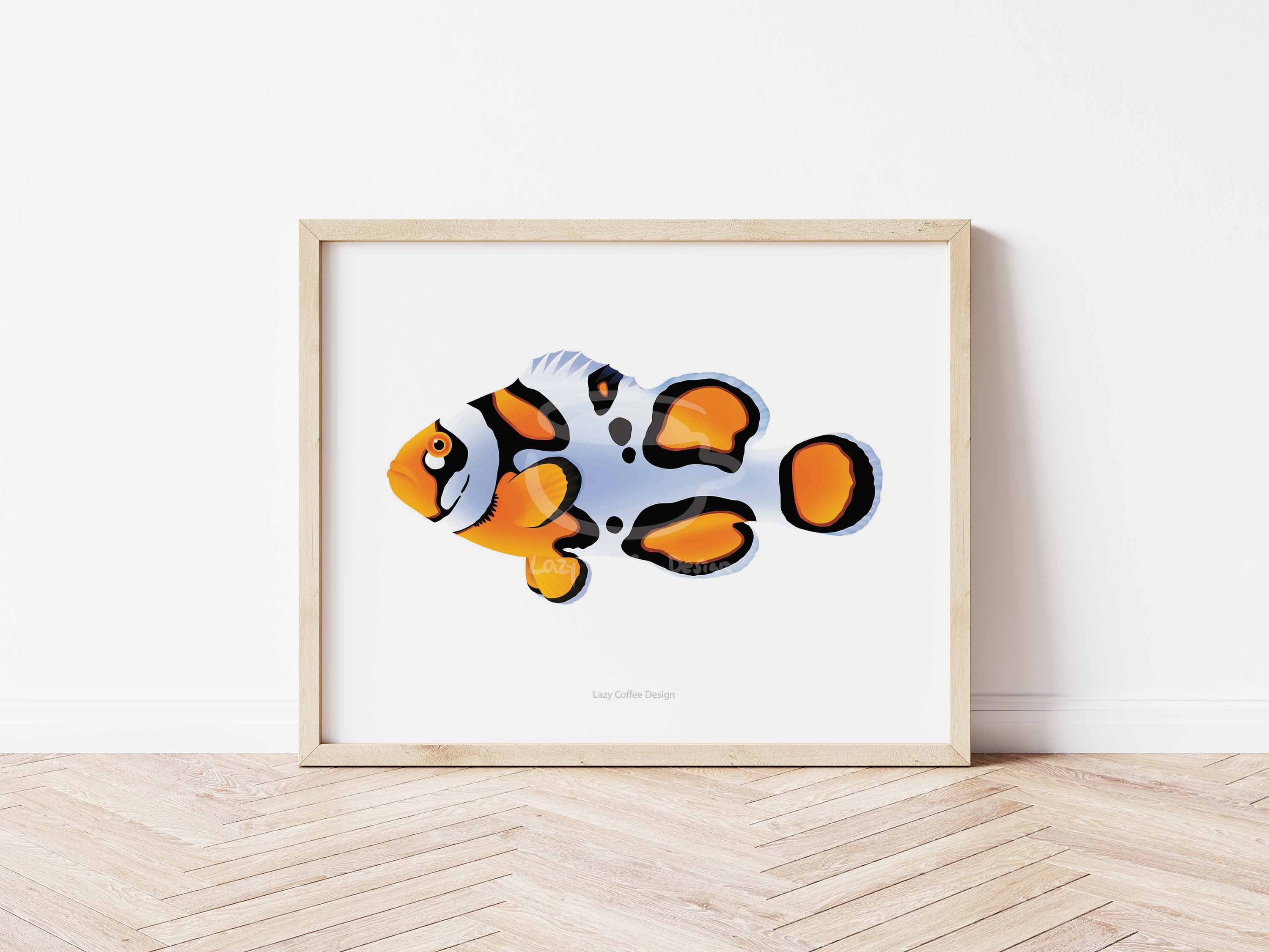Picasso Clownfish Fine Art Print for Saltwater Aquarium Lover ...