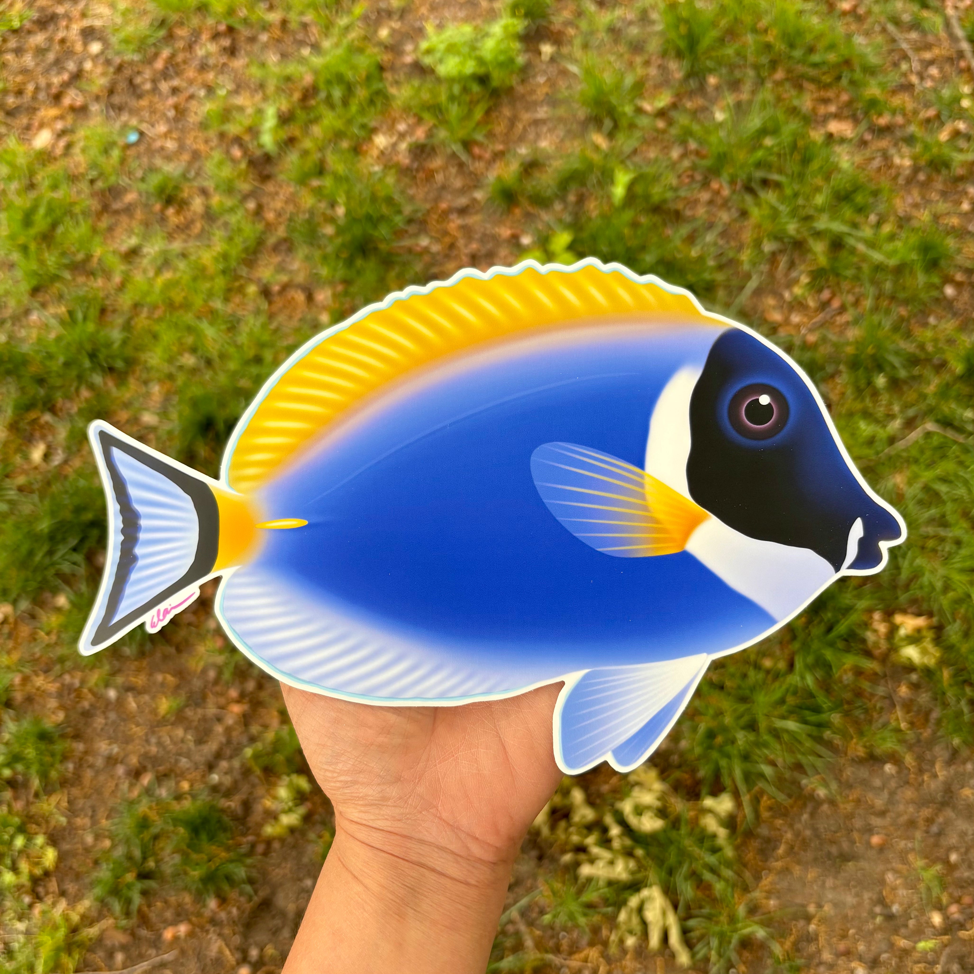 10" Giant Powder Blue Tang Sticker – lazycoffeedesign