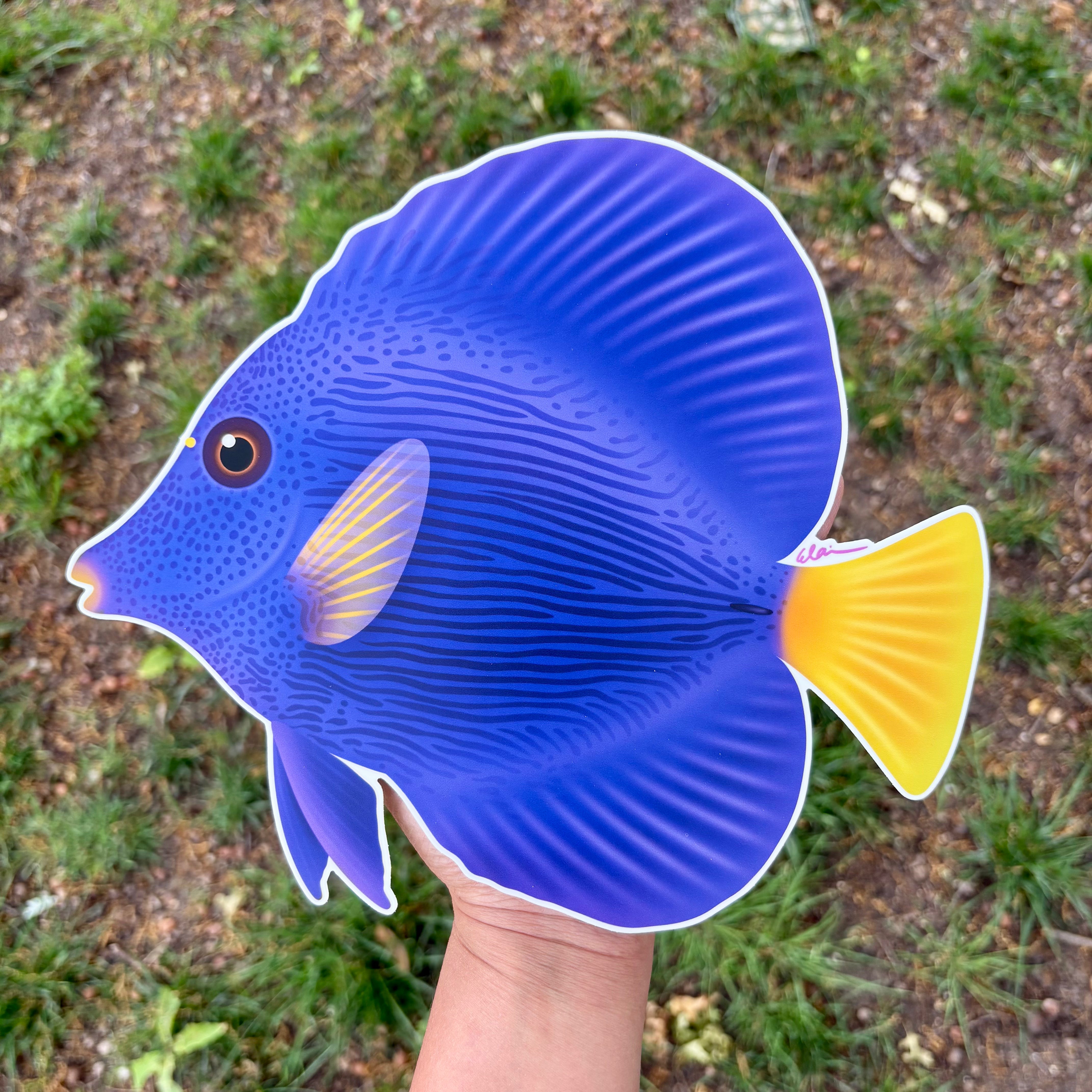 10" Giant Purple Tang Sticker – lazycoffeedesign