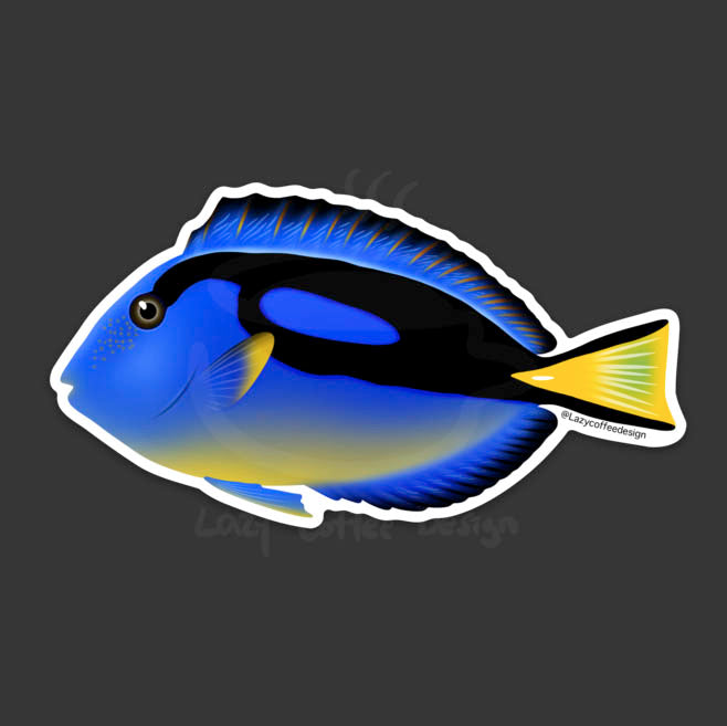 4" Blue Hippo Tang Saltwater Reef Fish Art Sticker – lazycoffeedesign