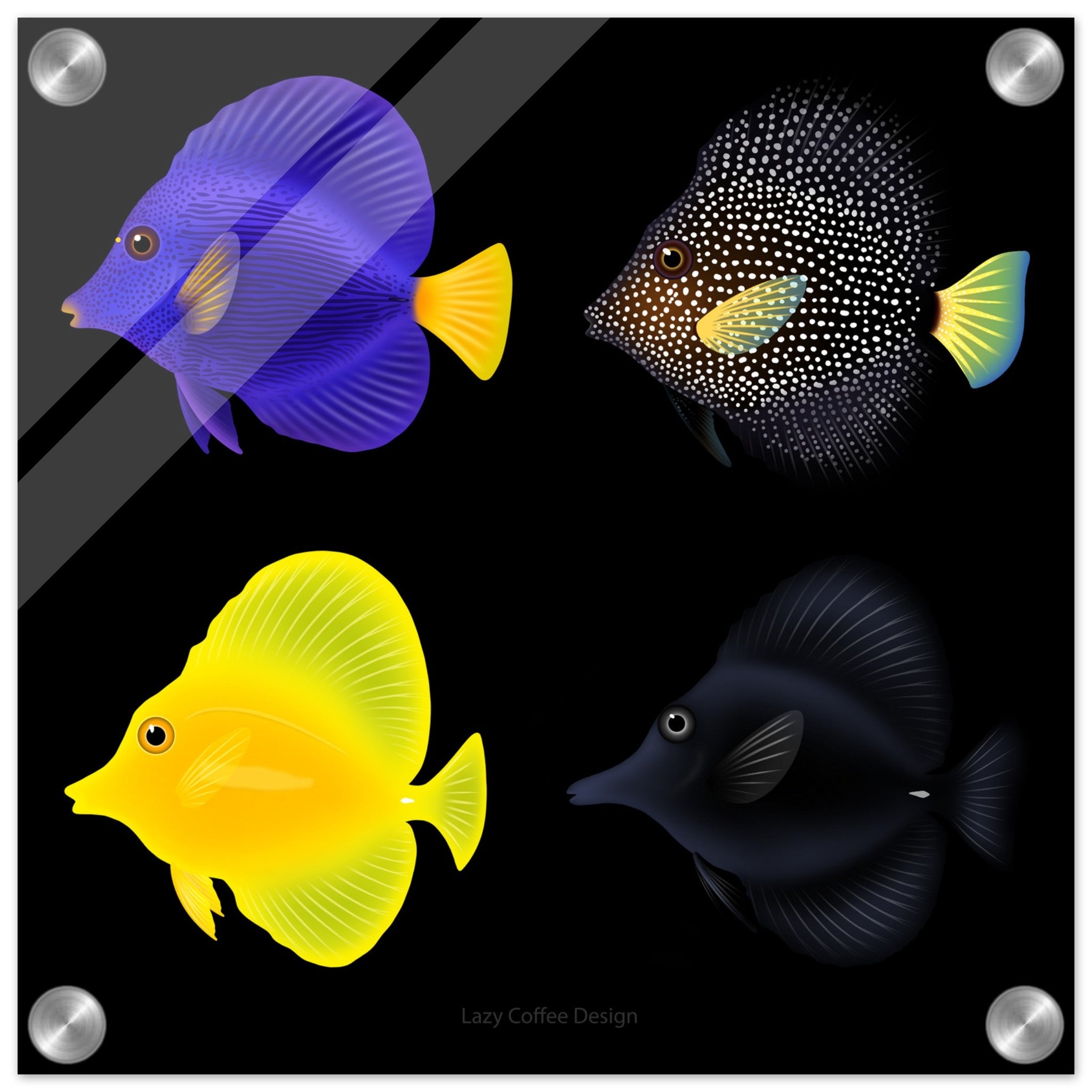 Zebrasoma Tangs Acrylic Print – lazycoffeedesign